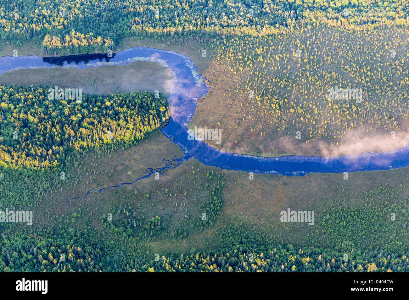 Wytipitlock Stream flowing through bogs and forests near Wytipitlock ...