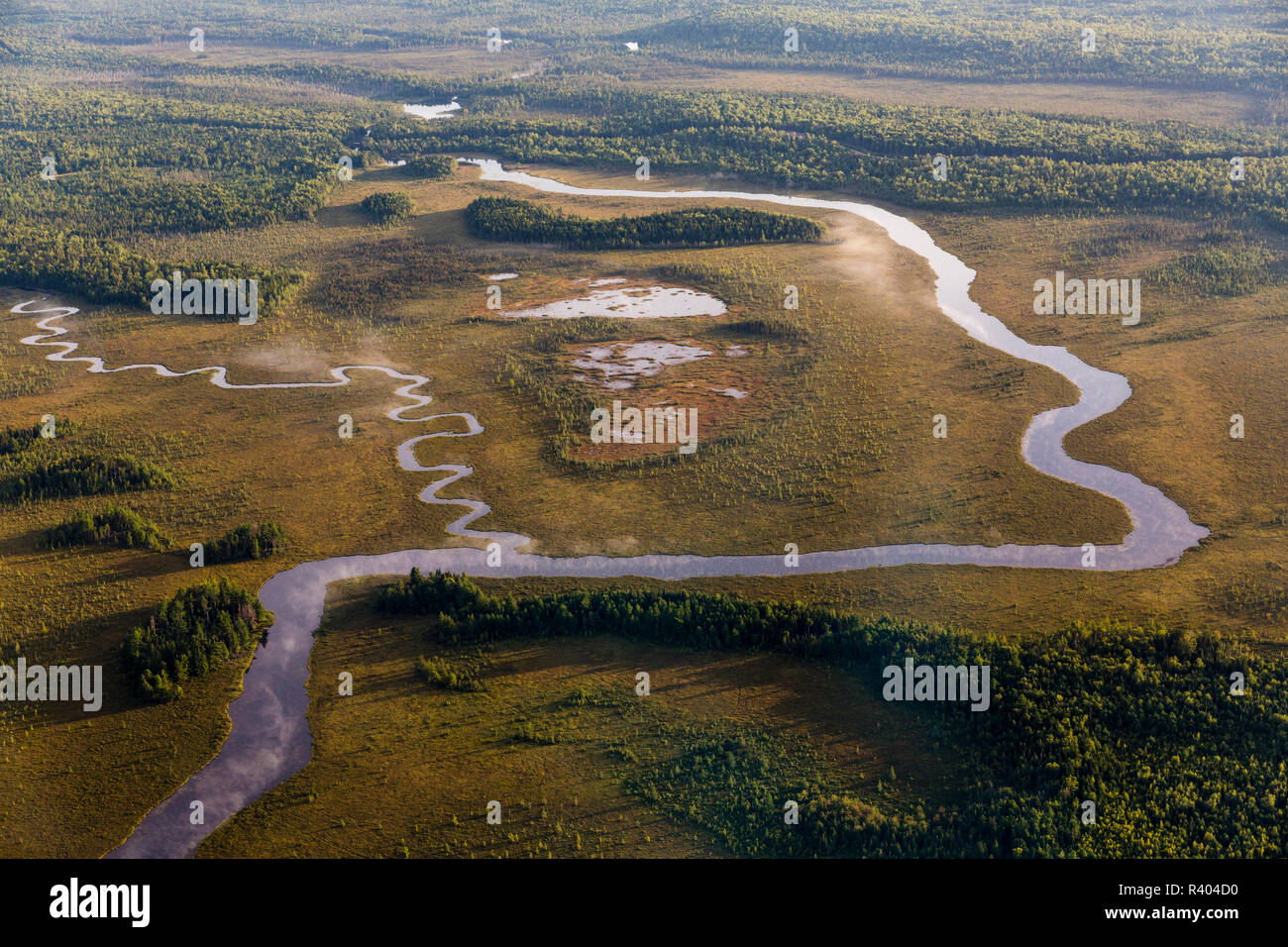 Wytipitlock Stream flowing through bogs and forests near Wytipitlock ...
