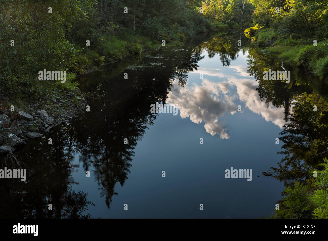 Summer clouds reflect in Wytipitlock Stream Reed Plantation, Reed ...