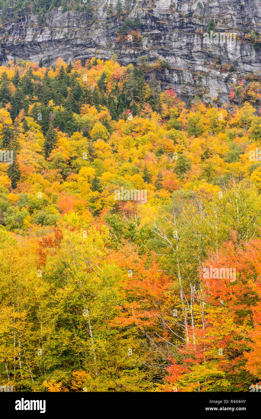 Grafton notch state park hi-res stock photography and images - Alamy