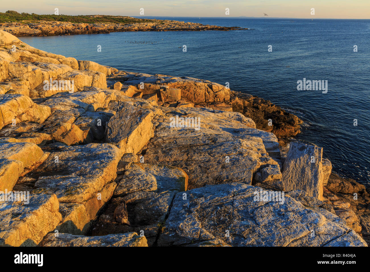 Appledore island hi-res stock photography and images - Alamy