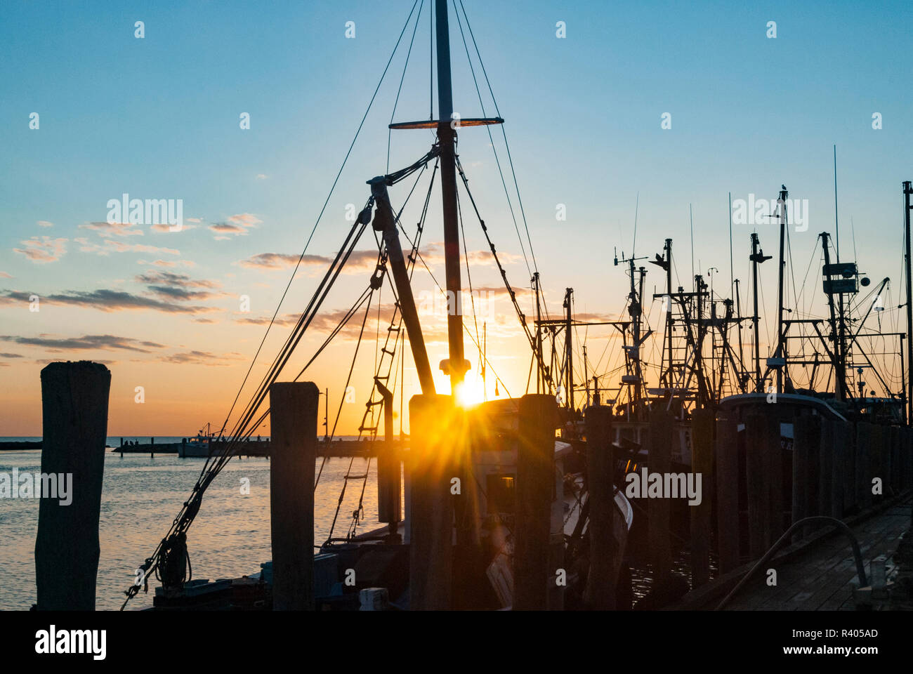 USA, Massachusetts. Martha's Vineyard, Menemsha harbor, Dutchers Dock ...
