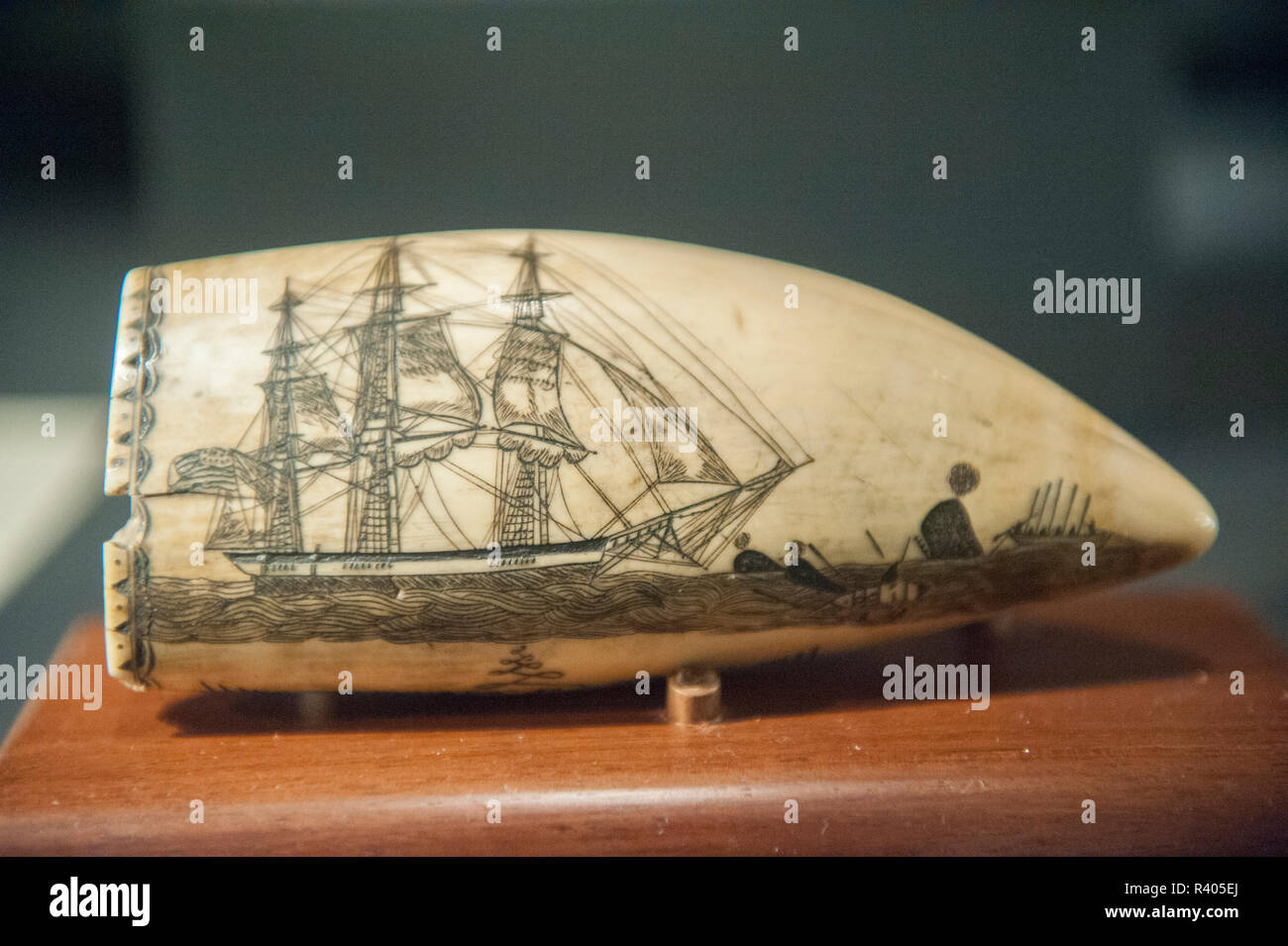 Scrimshaw on whale's tooth, Whaling Museum, Nantucket, Massachusetts ...