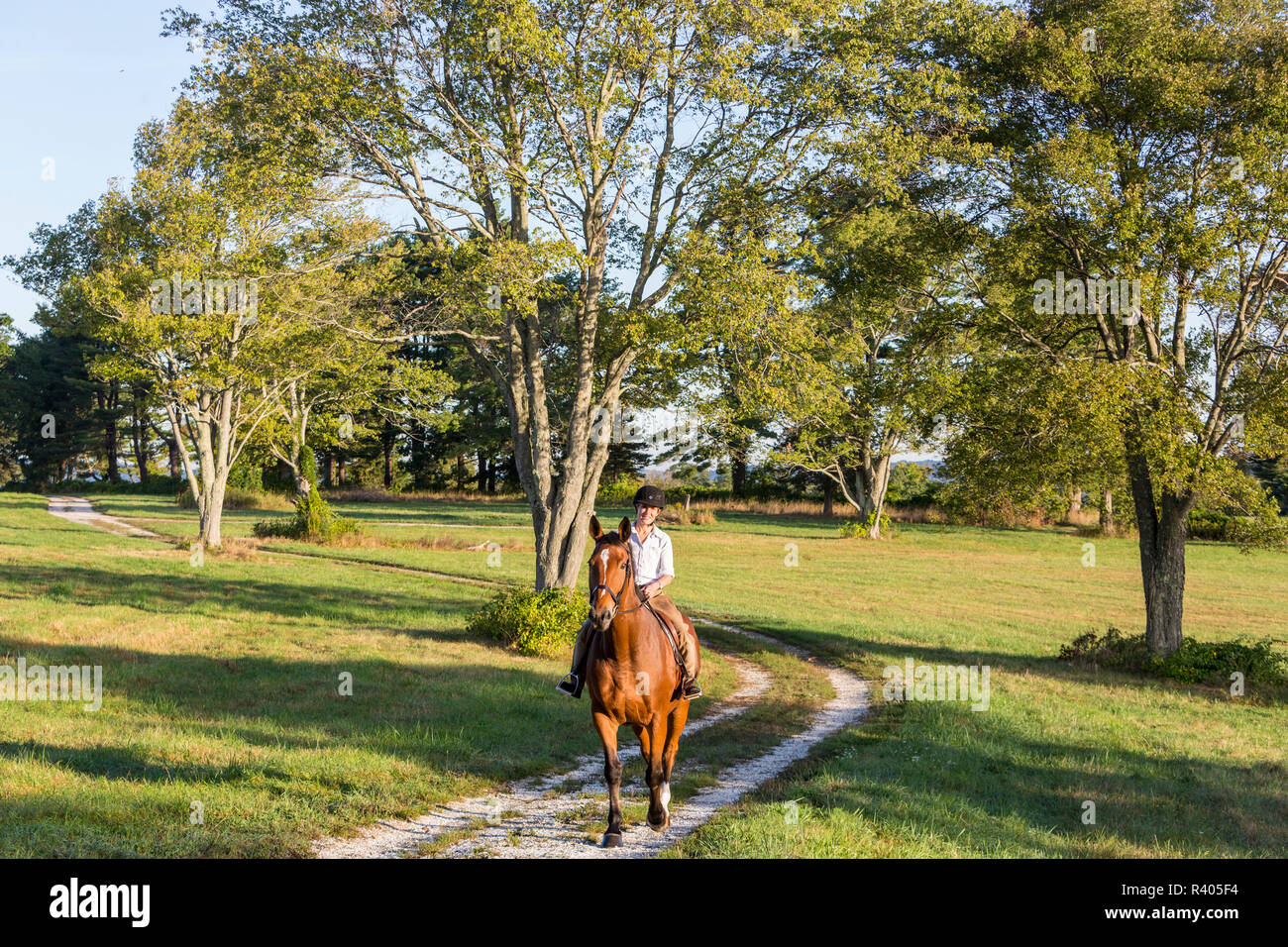 Mr freedom horse hi-res stock photography and images - Alamy