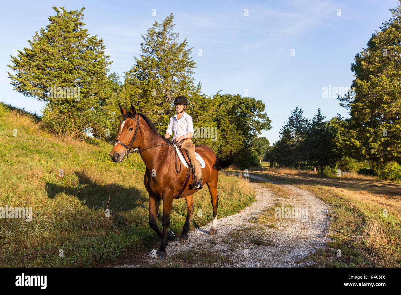 Mr freedom horse hi-res stock photography and images - Alamy