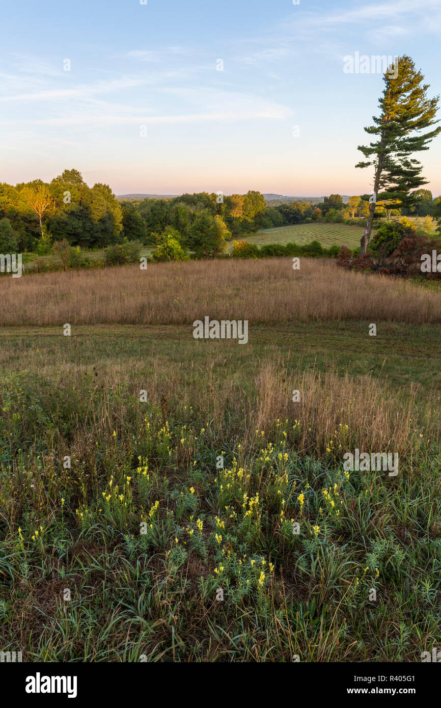 Hamilton fields hi-res stock photography and images - Alamy