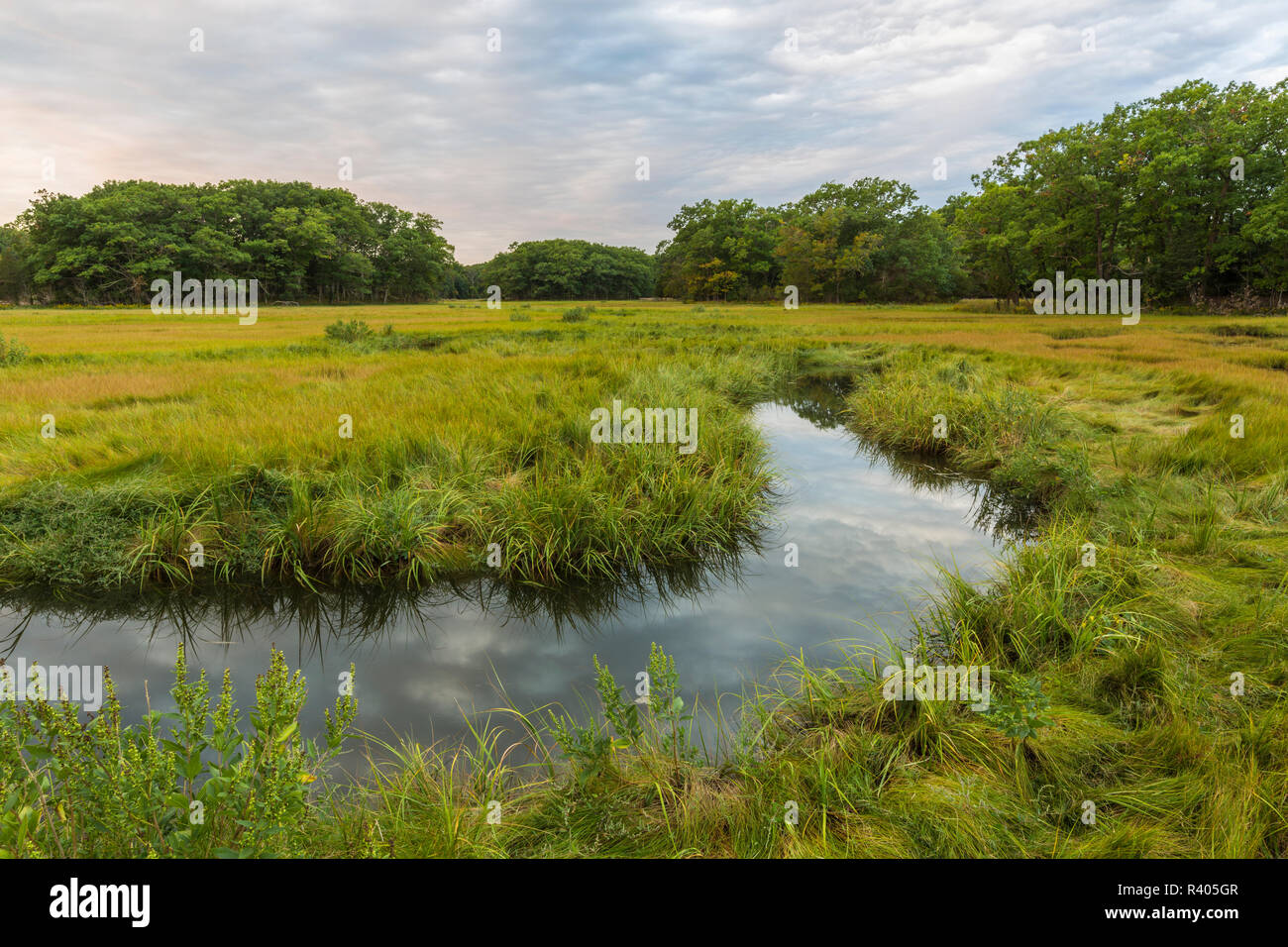 The salt marsh along the Castle Neck River in Ipswich, Massachusetts ...