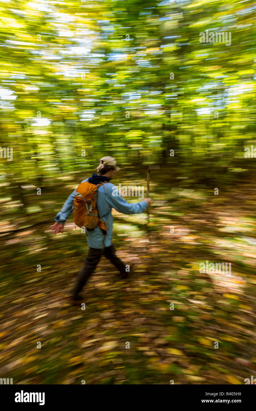 Man walking into forest hi-res stock photography and images - Alamy