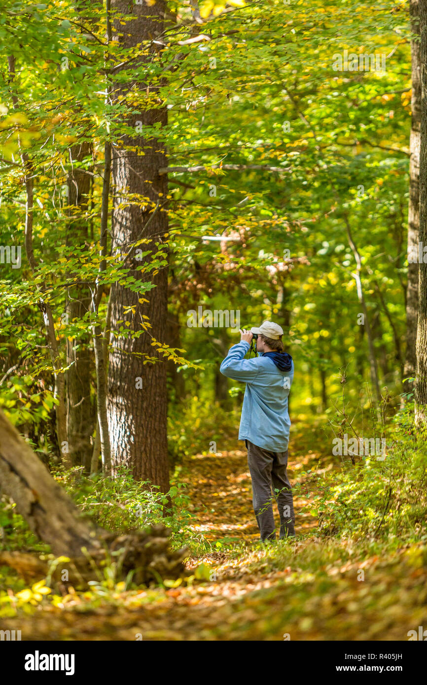 Young man birdwatching in a forest in Amesbury, Massachusetts. (MR ...