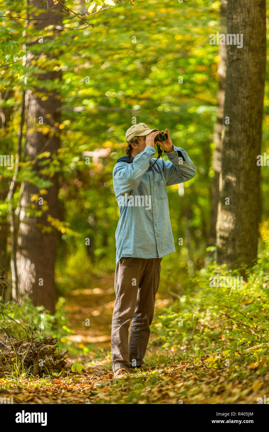 Young man birdwatching in a forest in Amesbury, Massachusetts. (MR ...