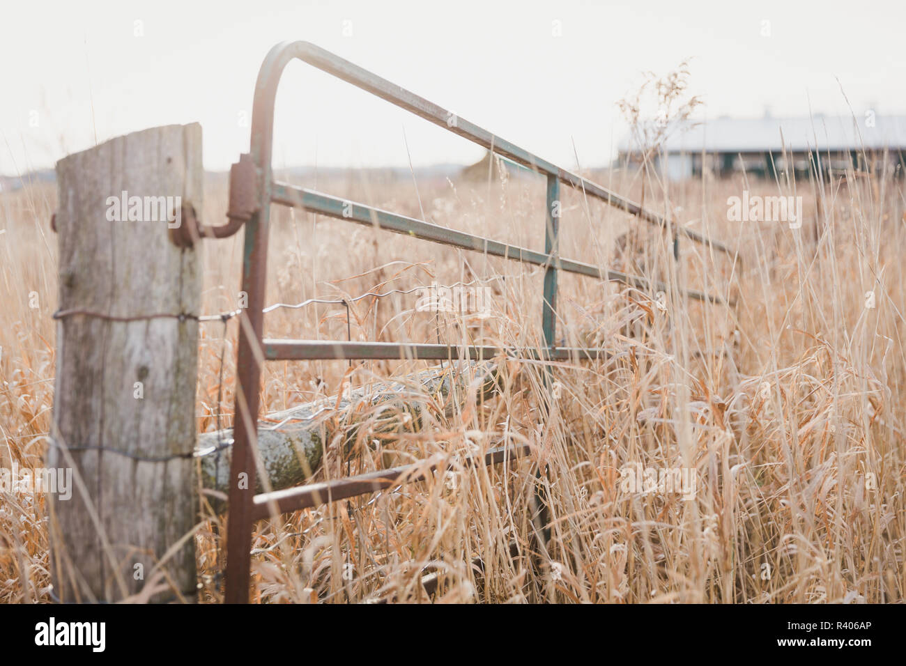 Rusty metal fence hi-res stock photography and images - Alamy
