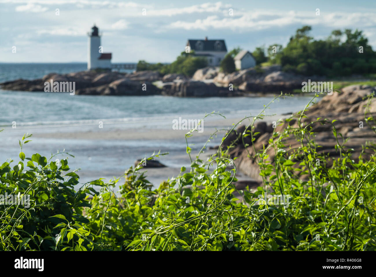 Usa massachusetts cape ann hi-res stock photography and images - Alamy