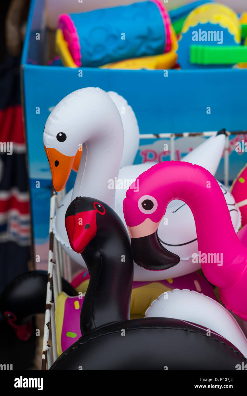 Pink Flamingo Beach High Resolution Stock Photography and Images - Alamy