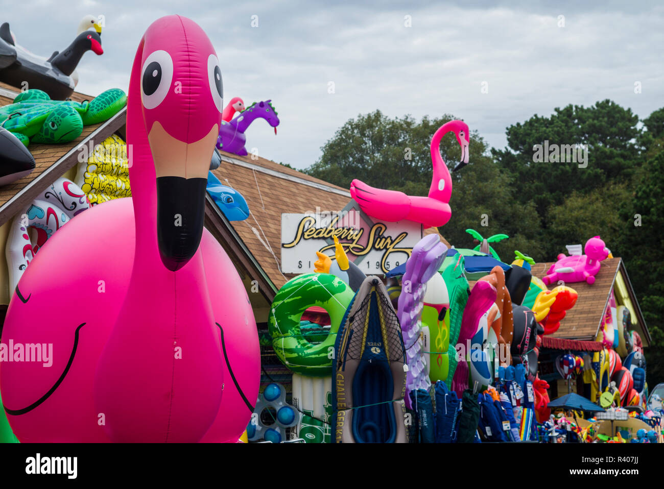USA, Massachusetts, Cape Cod, Wellfleet, pink flamingo beach floats ...