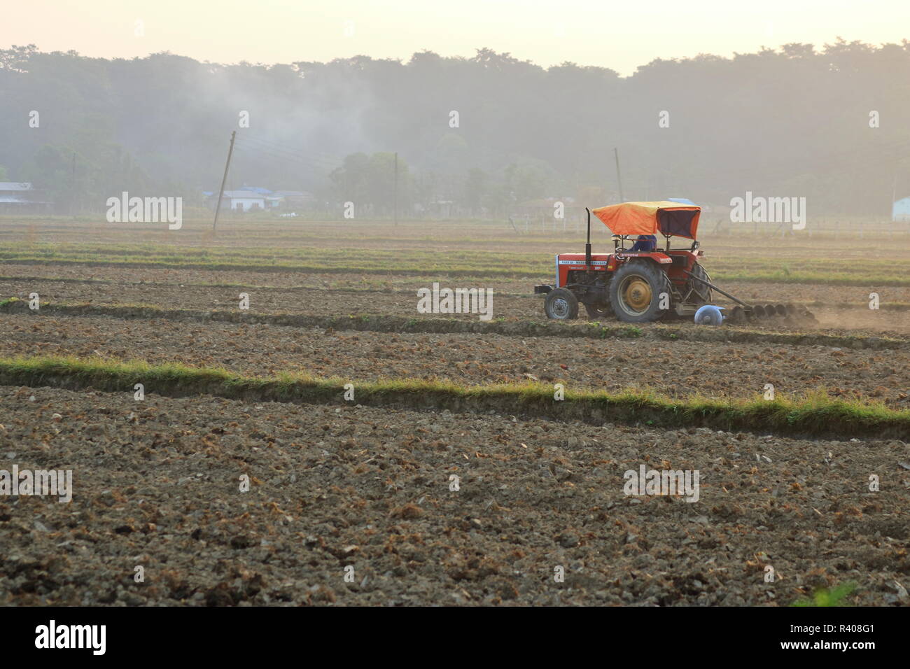Tractor plowing a rice field, Nepal Stock Photo - Alamy