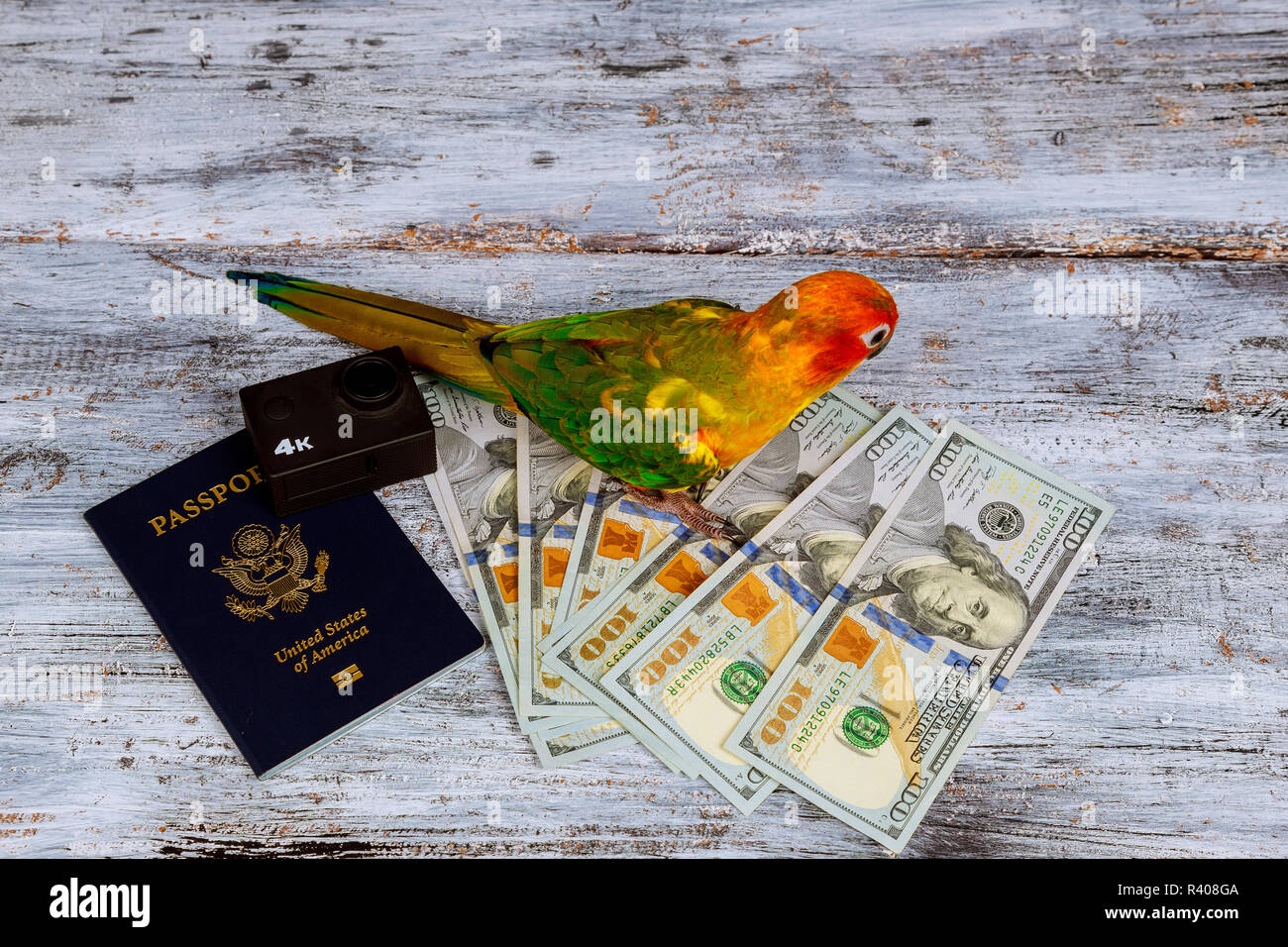 Parrot money hi-res stock photography and images - Alamy