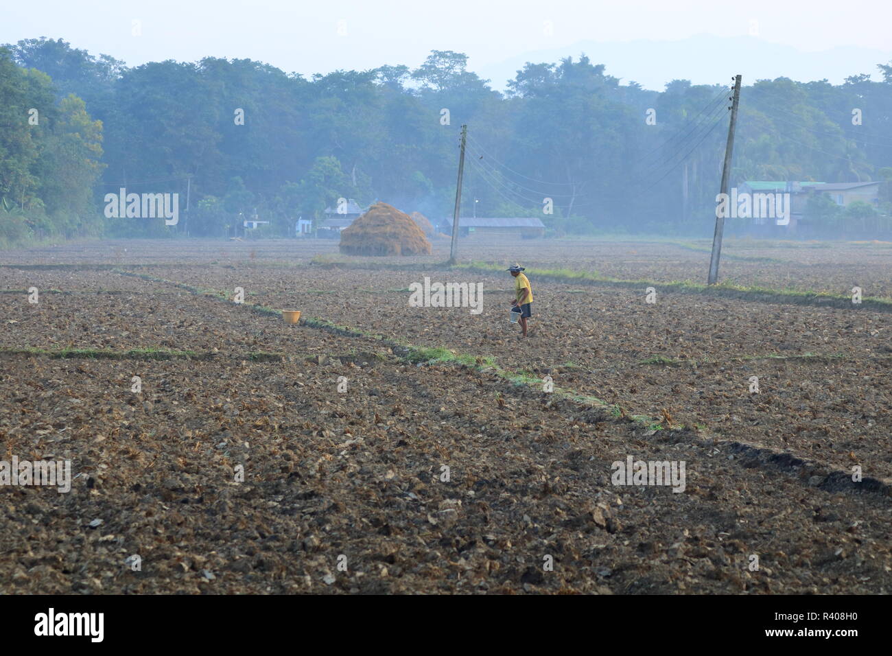 Ploughing rice field nepal hi-res stock photography and images - Alamy