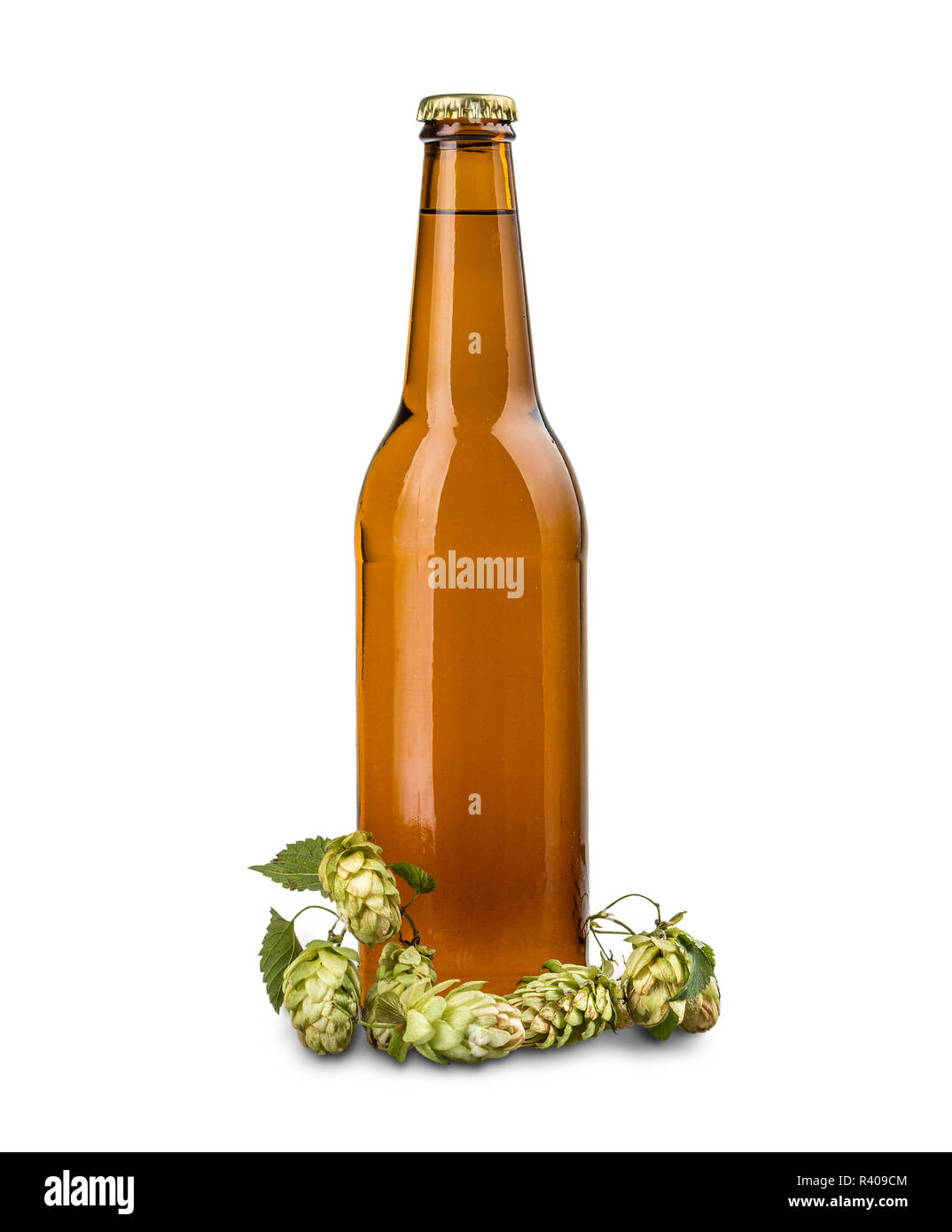 Bottle of beer Stock Photo - Alamy