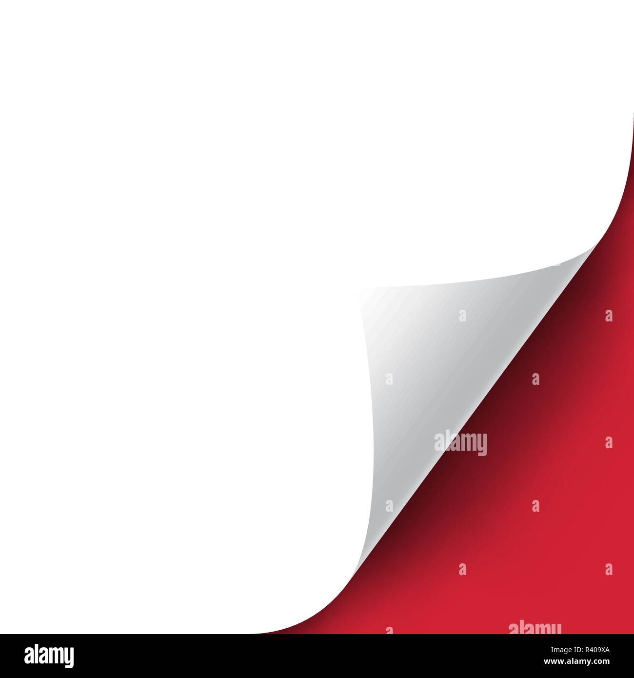 Curly Page Corner realistic illustration with transparent shadow ...