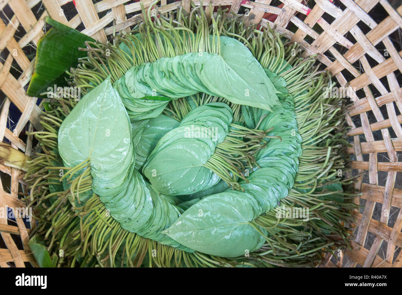 Betels hi-res stock photography and images - Alamy