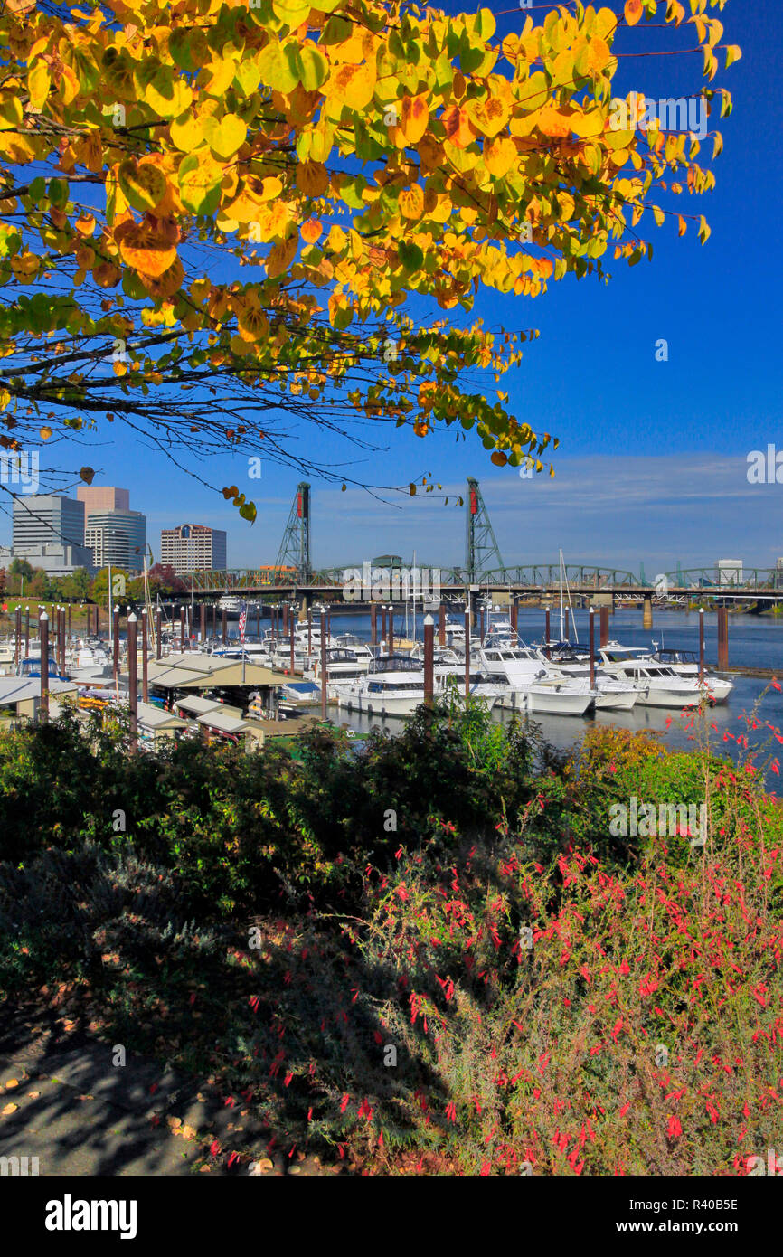 USA, Oregon, Portland. Boats moored in harbor. Credit as: Steve Terrill ...