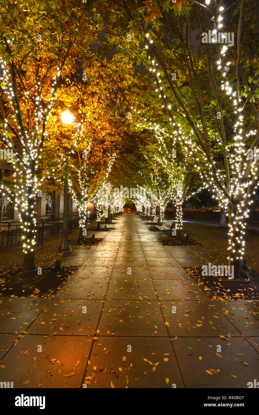 Oregon Pathway High Resolution Stock Photography and Images - Alamy