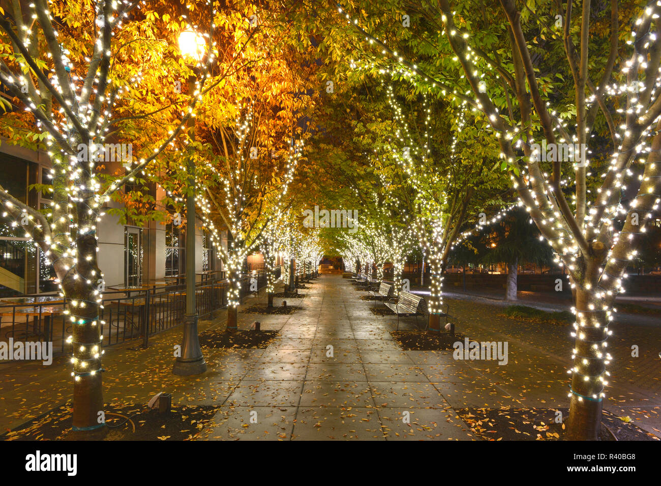 Oregon Pathway High Resolution Stock Photography and Images - Alamy