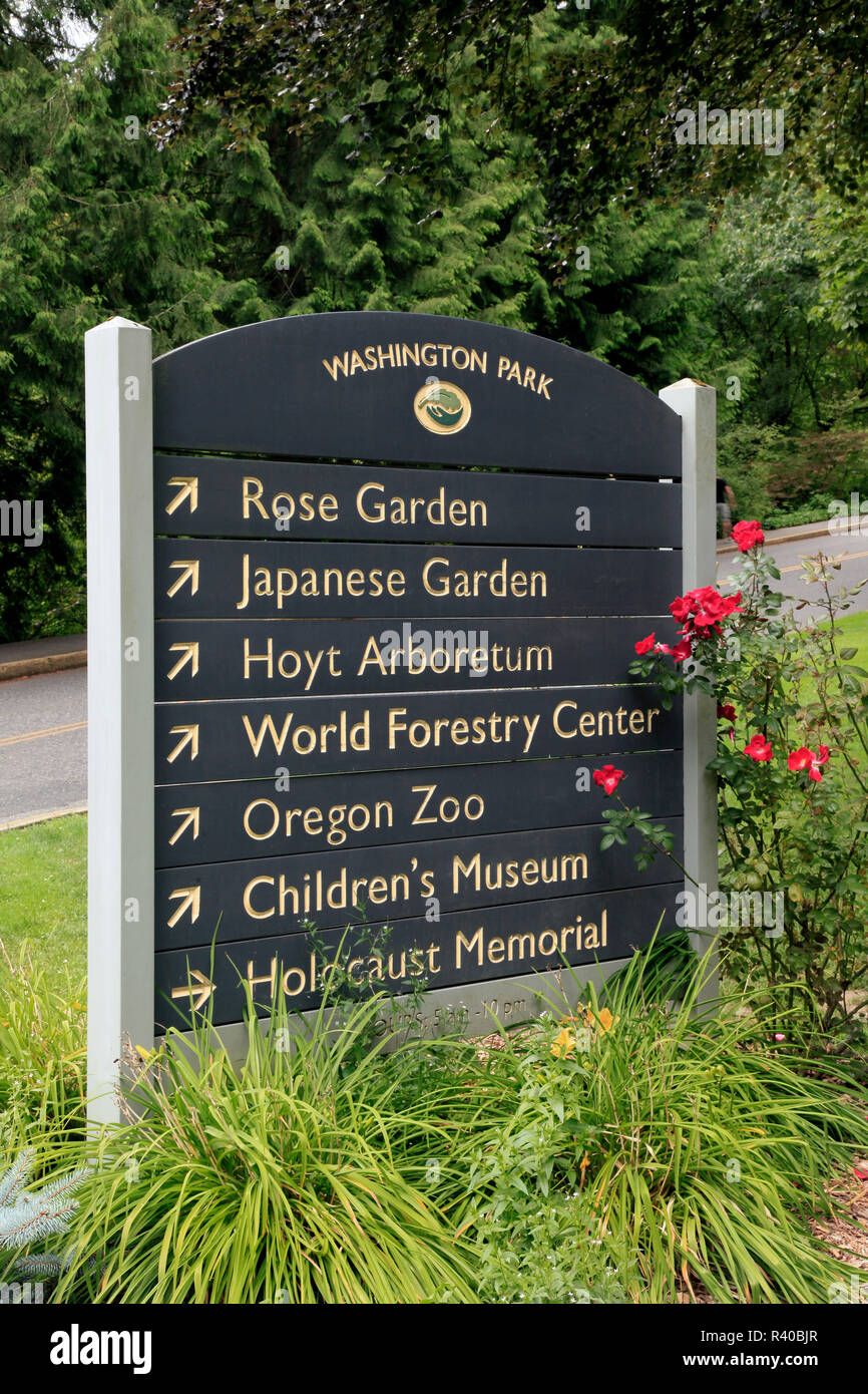 Portland washington park rose hi-res stock photography and images - Alamy