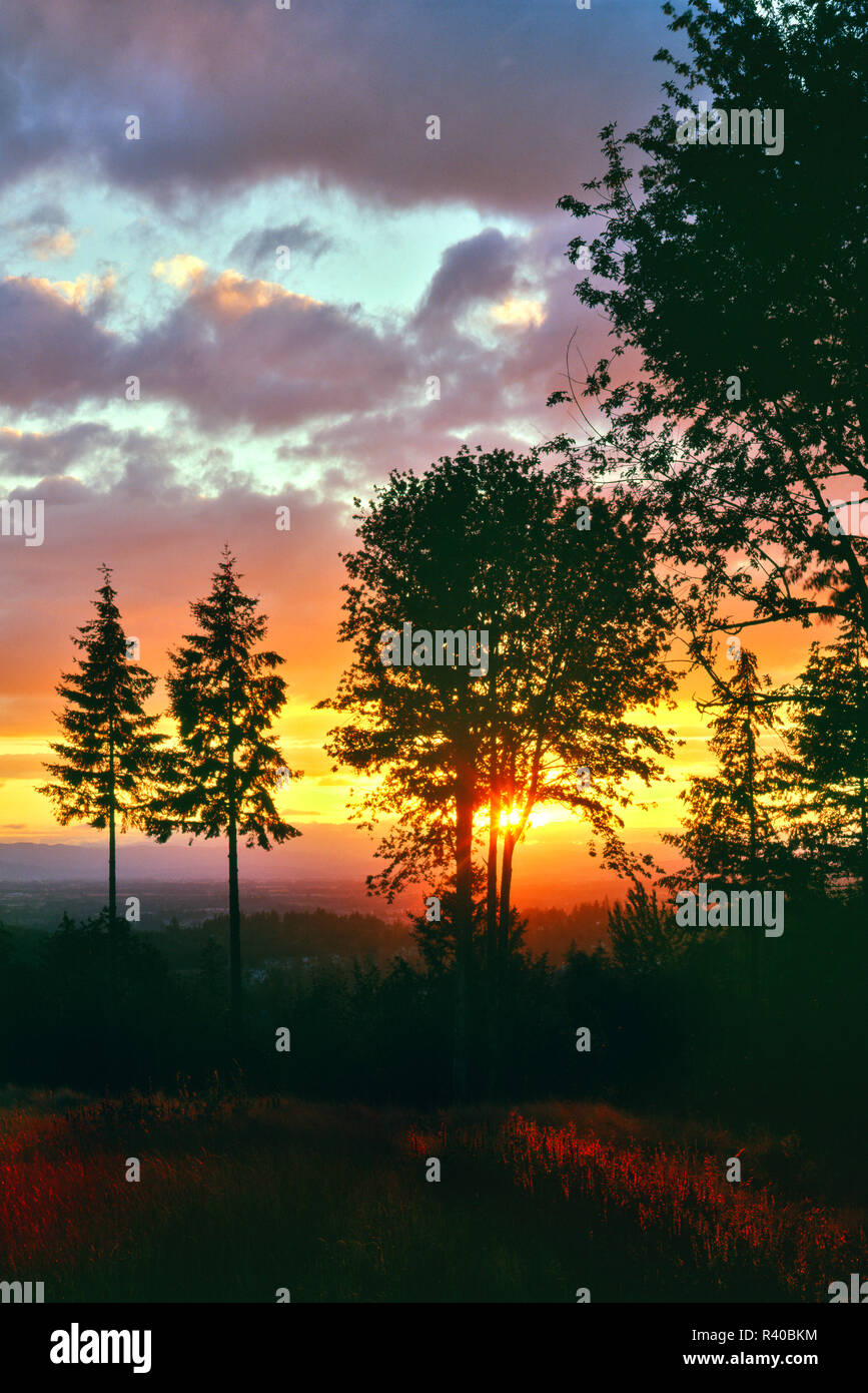 Bonny slope hi-res stock photography and images - Alamy
