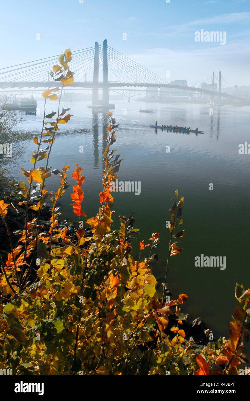 Portland tilikum bridge hi-res stock photography and images - Alamy