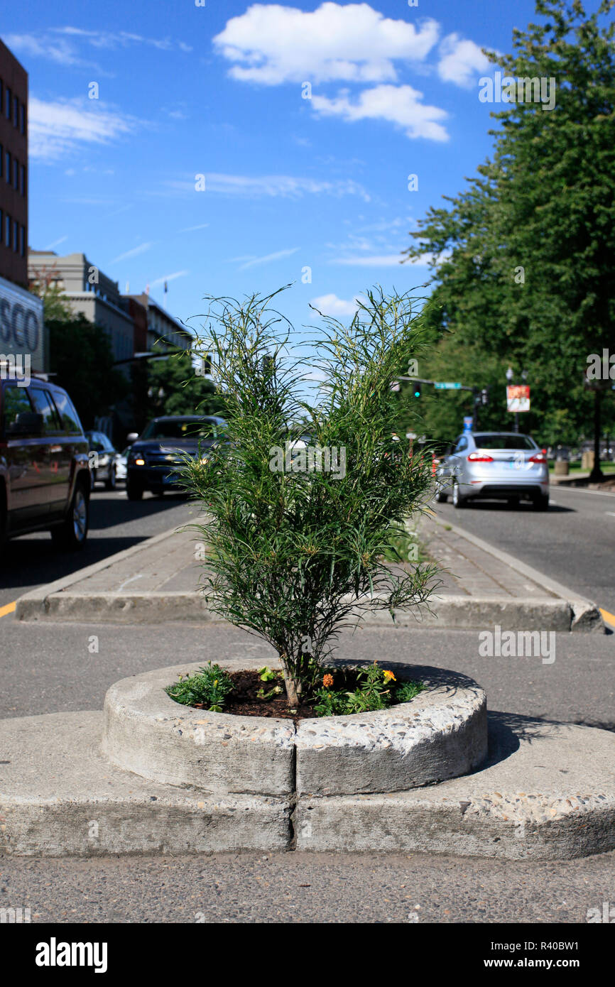 Worlds smallest park hi-res stock photography and images - Alamy