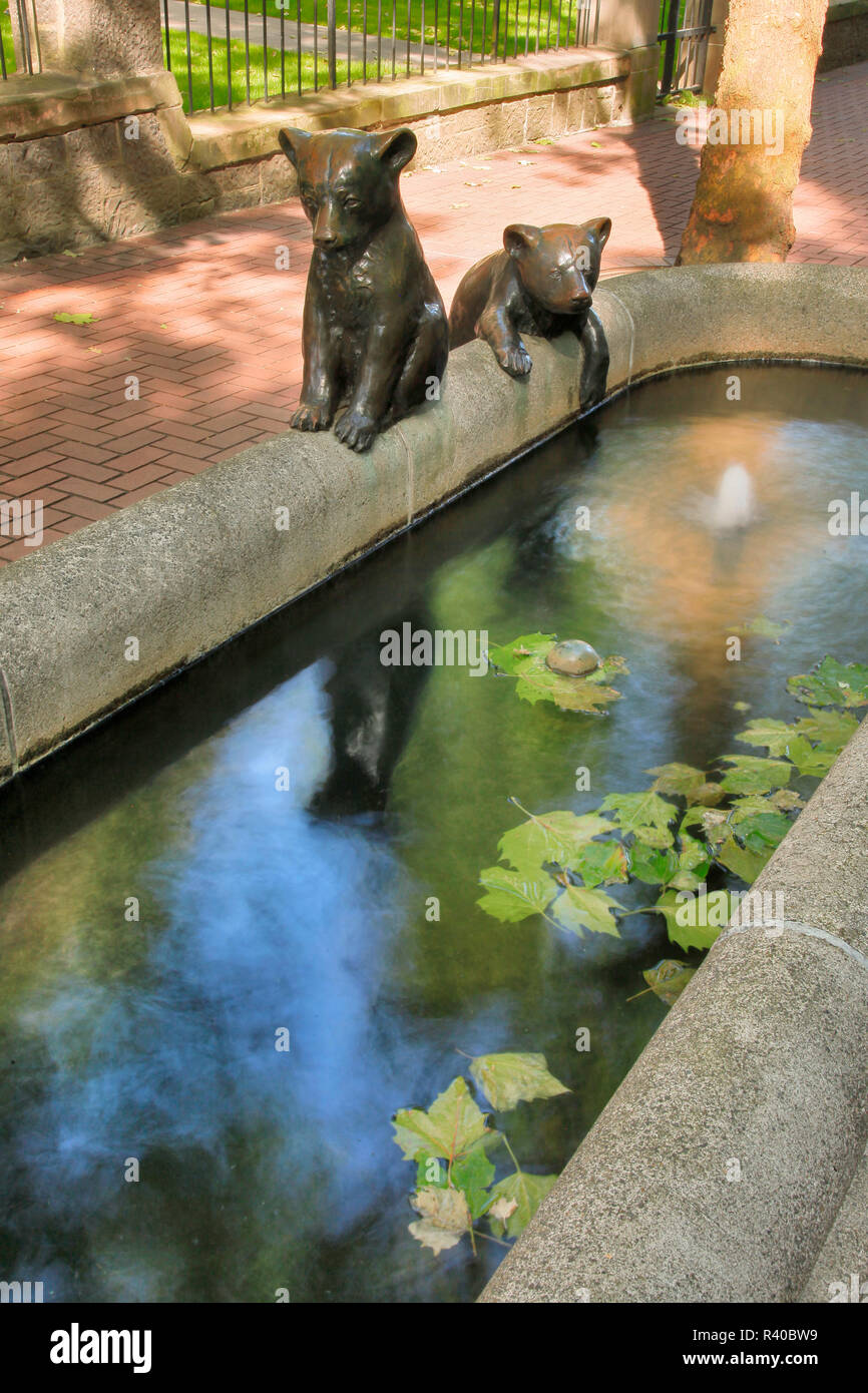 Water bear steve hi-res stock photography and images - Alamy
