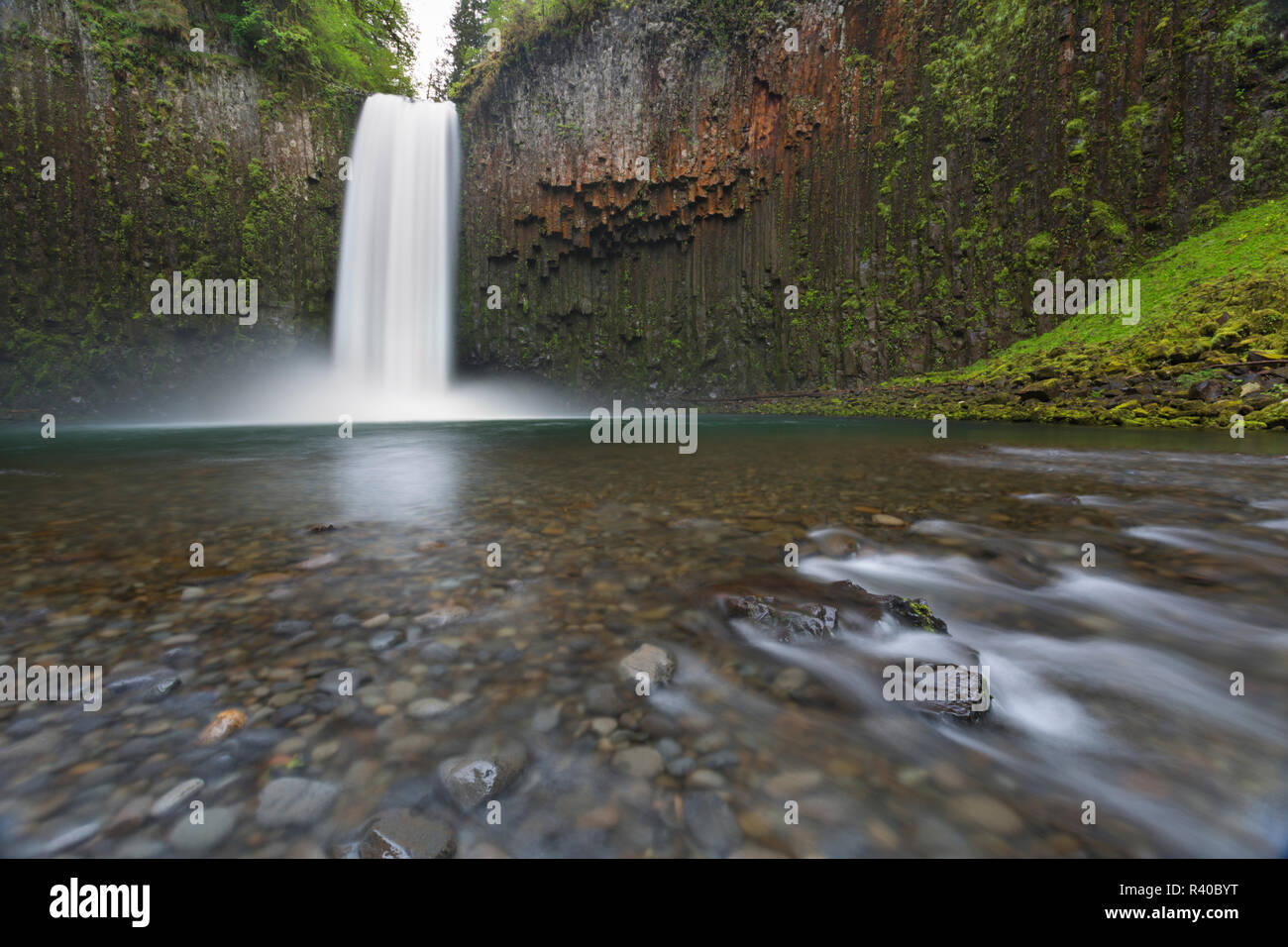 USA, Oregon, Abiqua Falls. Waterfall over cliff of columnar basalt ...