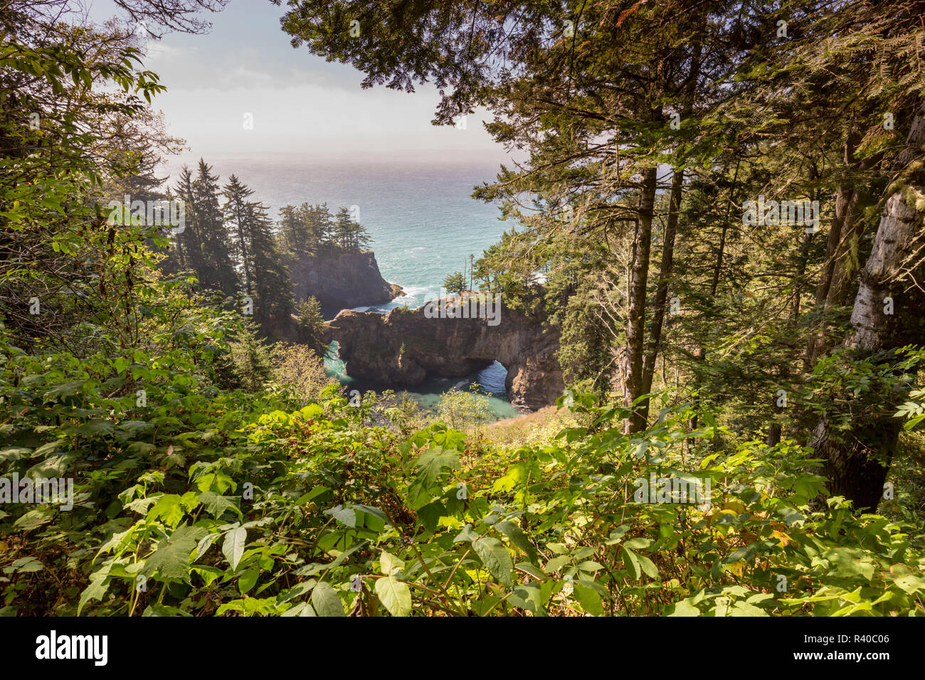 USA, Oregon, Natural Bridges. Ocean shoreline and forest landscape ...