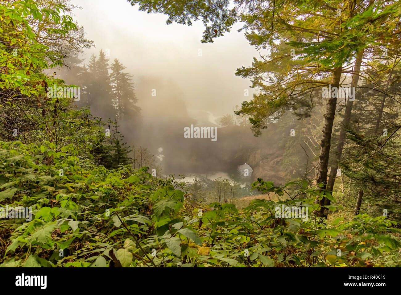 USA, Oregon, Natural Bridges. Forest and ocean landscape. Credit as ...