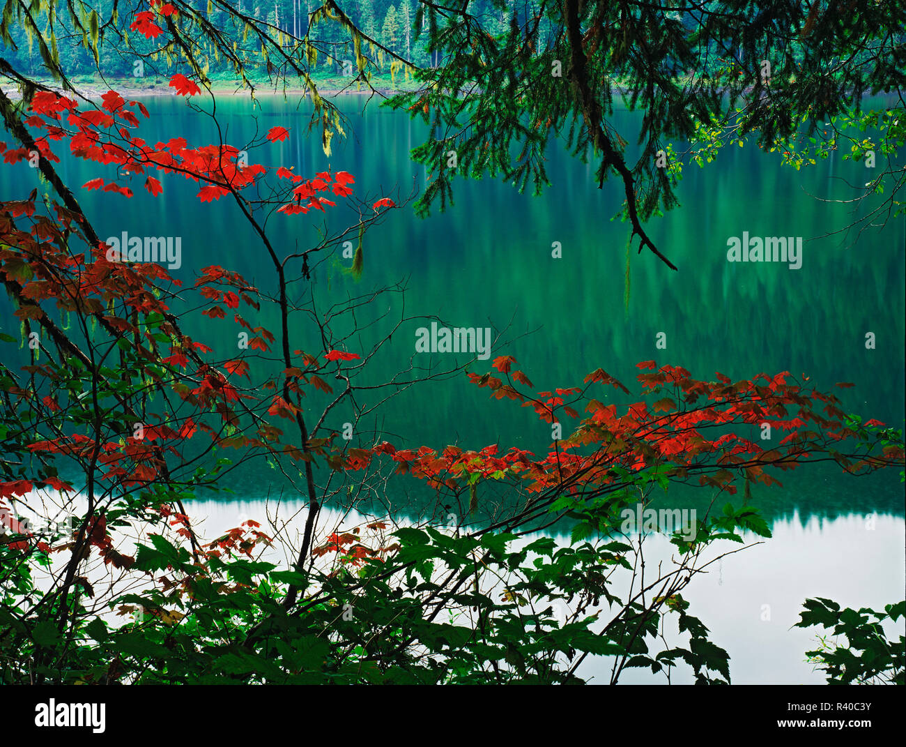 Three sisters wilderness hi-res stock photography and images - Alamy