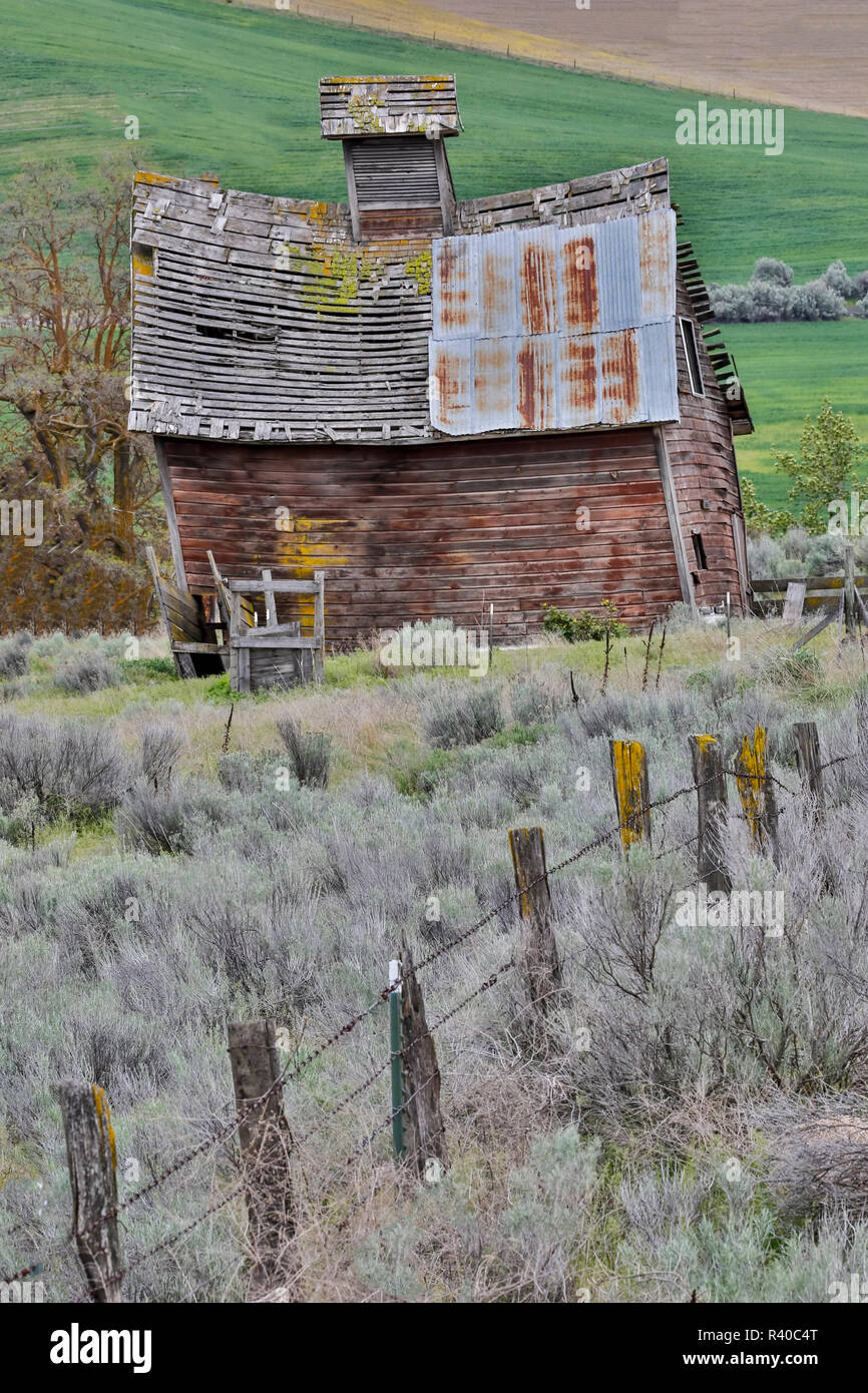 Leaning old wooden barn near Dufur, Eastern Oregon Stock Photo - Alamy