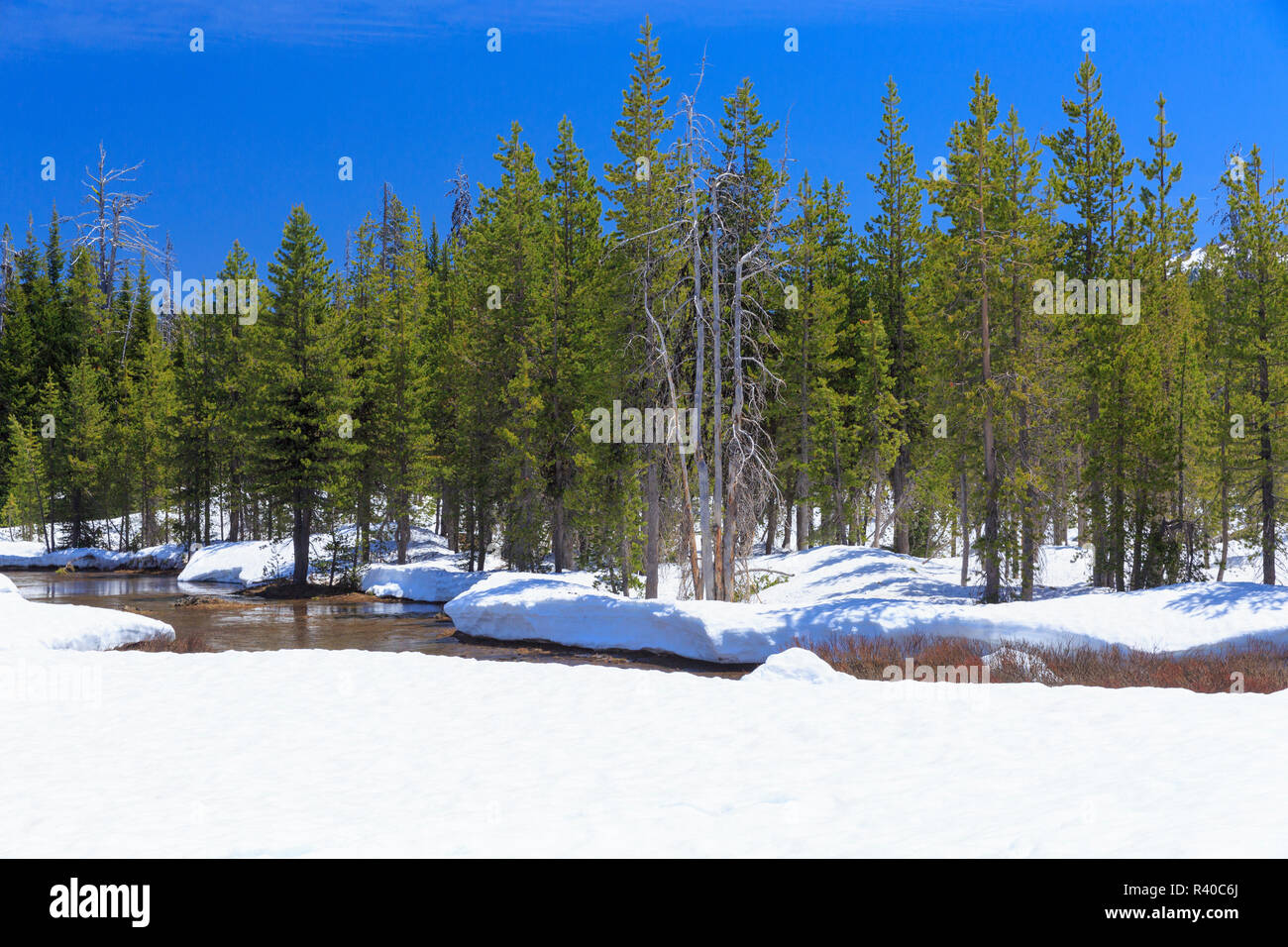 USA, Eastern Oregon, Cascade Lakes Highway, Sisters, Broken Top, Mt ...