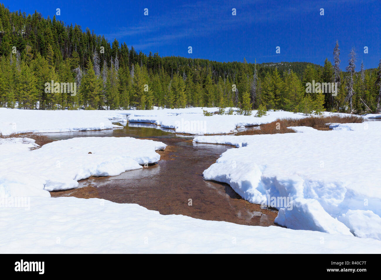 USA, Oregon, Cascade Lakes Highway, Sisters, Broken Top, Mt. Bachelor ...