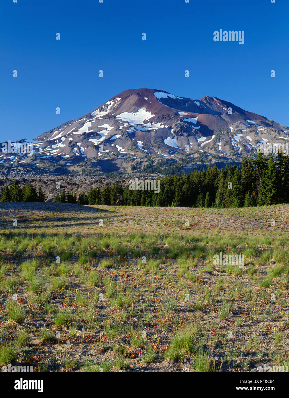 USA, Oregon, Deschutes National Forest, Three Sisters Wilderness, South ...
