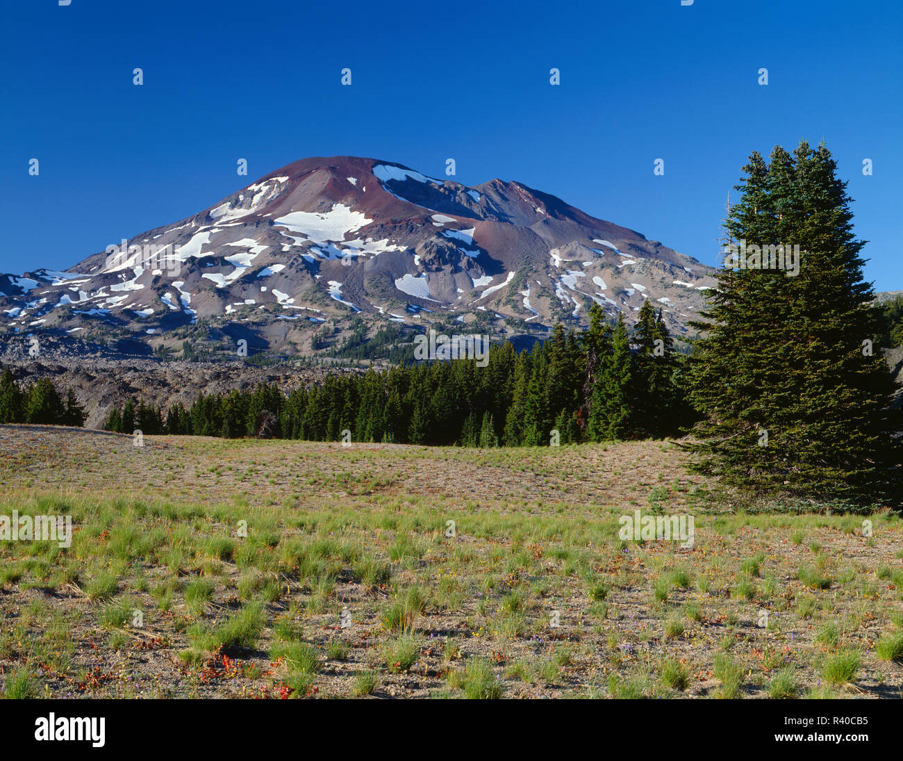 USA, Oregon, Deschutes National Forest, Three Sisters Wilderness, South ...