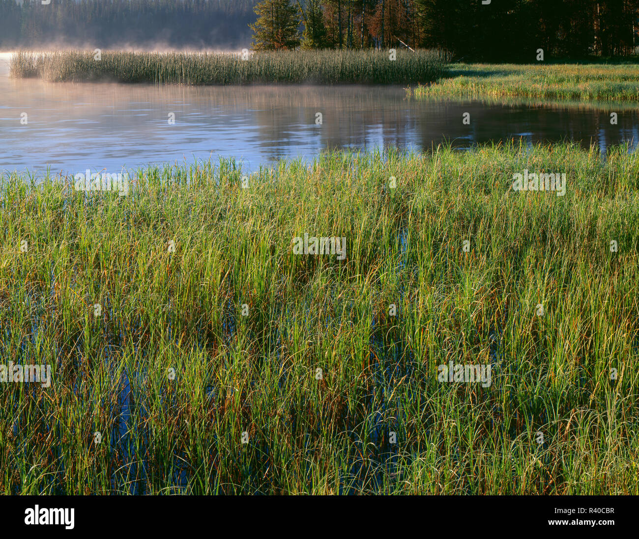 Little lava lake deschutes hi-res stock photography and images - Alamy