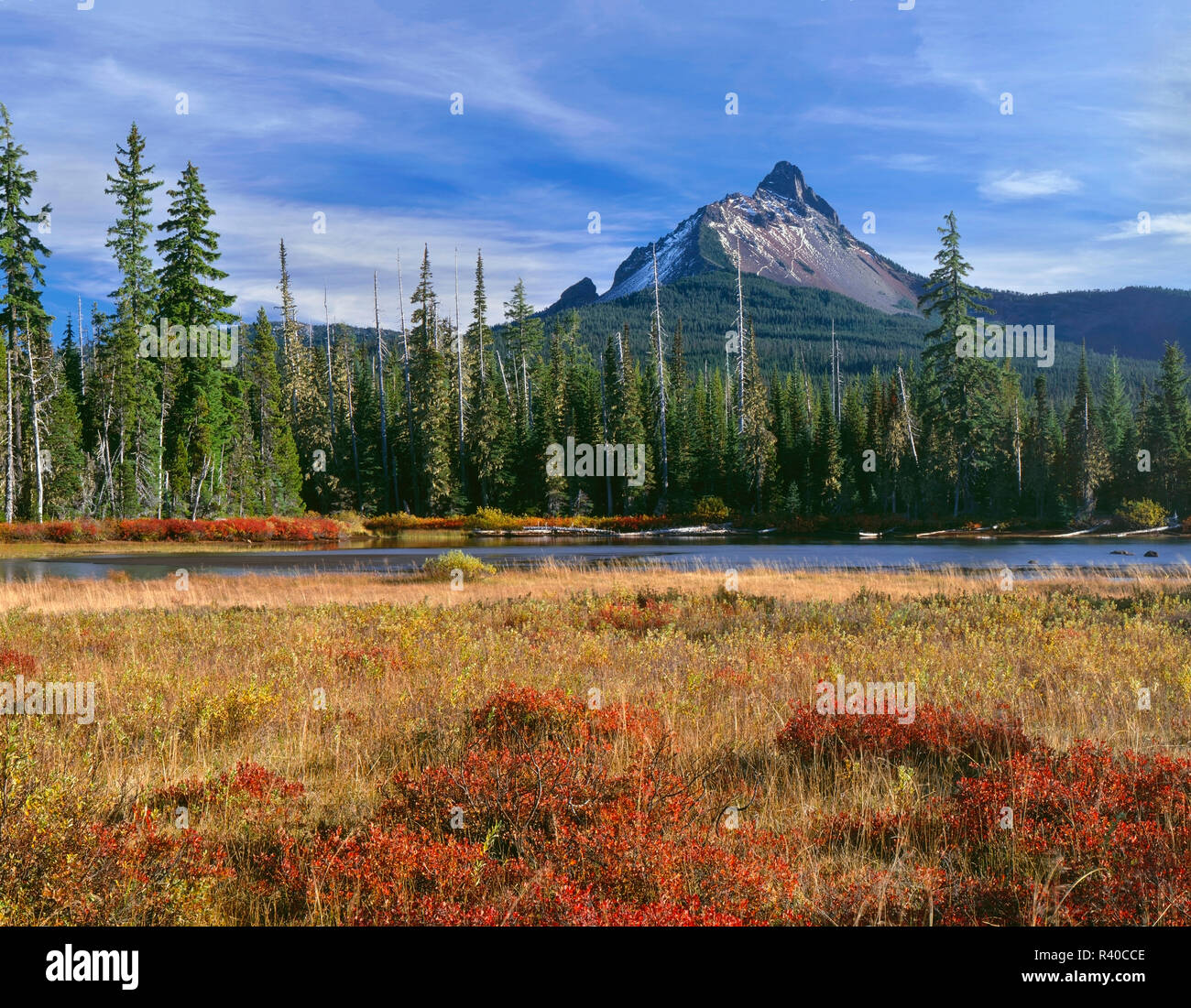 Huckleberry range hi-res stock photography and images - Alamy