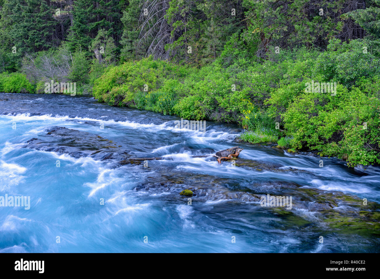 Metolius river hi-res stock photography and images - Alamy
