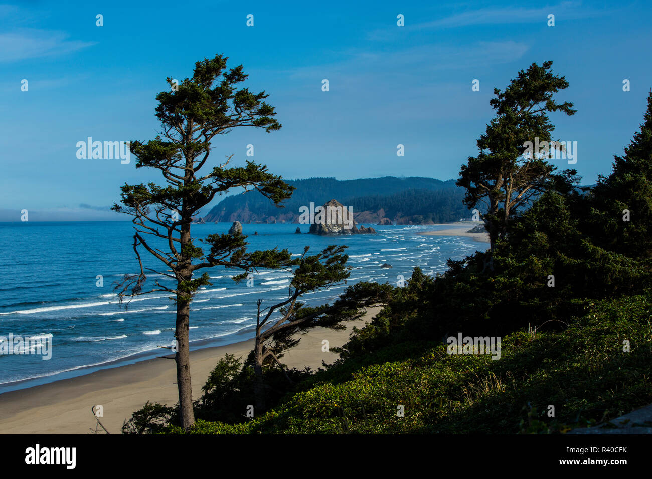 Cannon Beach, Oregon. Evergreen trees frame the Haystack Rocks, waves ...