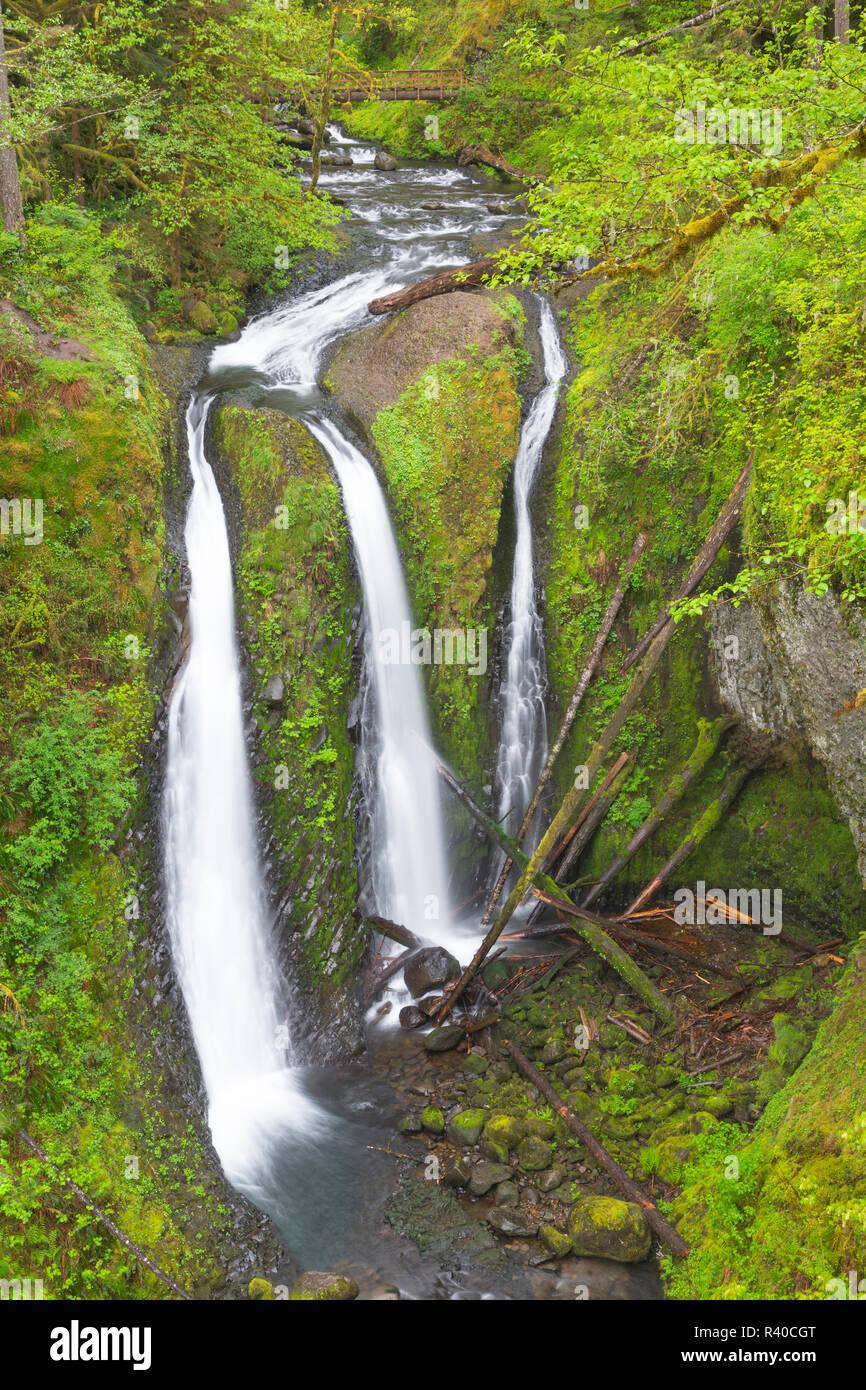 Oregon, Columbia River Gorge National Scenic Area, Triple Falls Stock ...