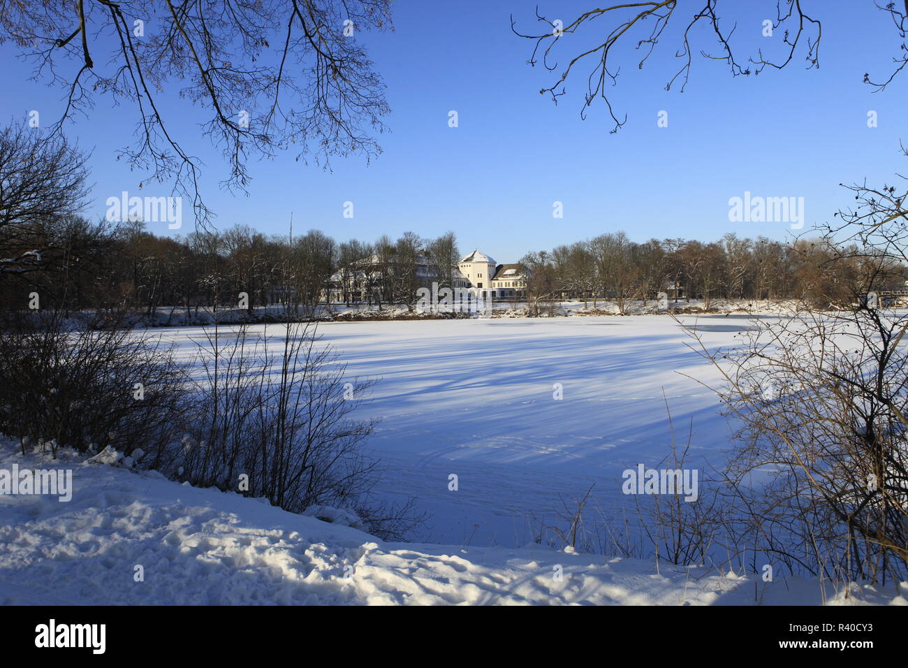 Leipzig floodplain forest hi-res stock photography and images - Alamy