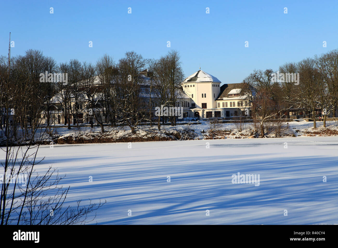 Leipzig floodplain forest hi-res stock photography and images - Alamy