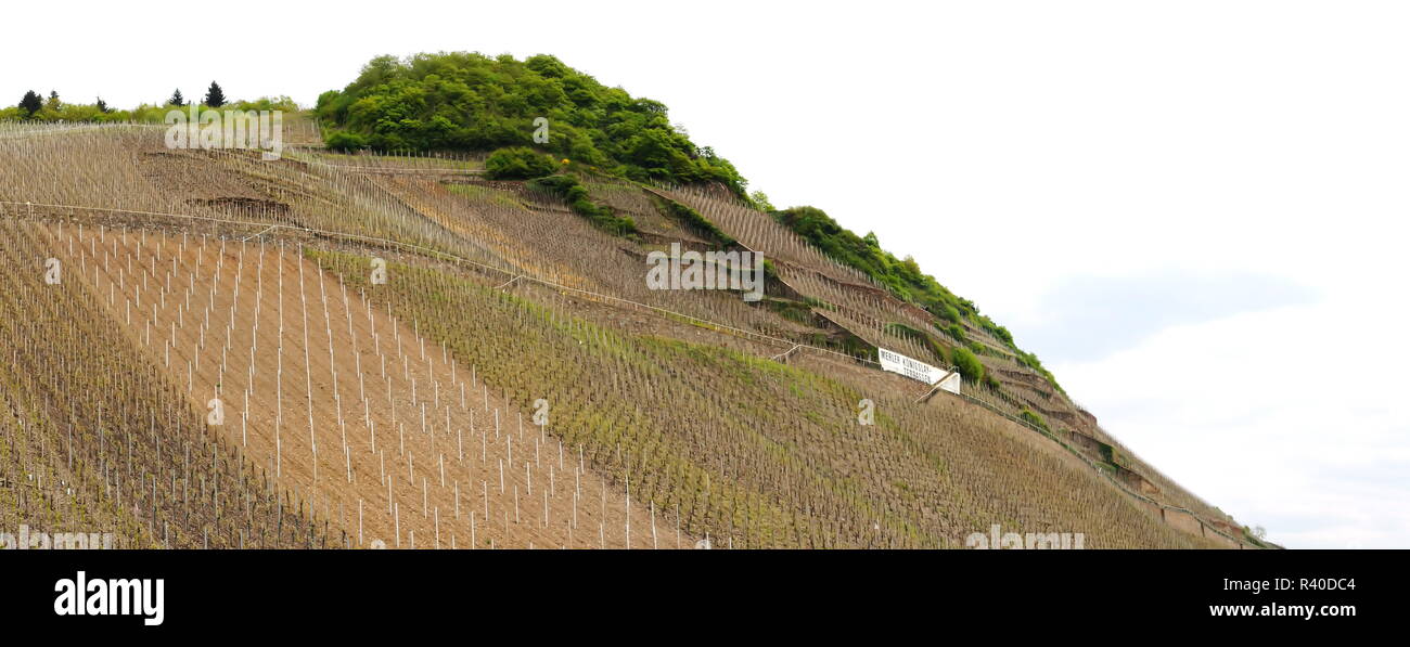 merler kÃ¶nigslay terracesrn Stock Photo - Alamy