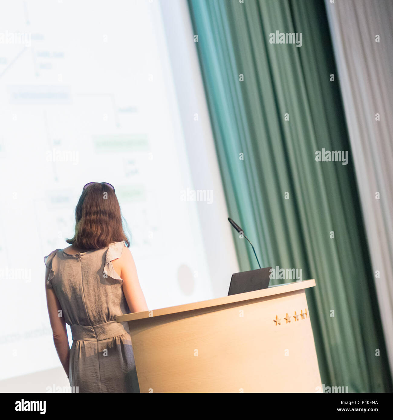 Business woman making business presentation Stock Photo - Alamy